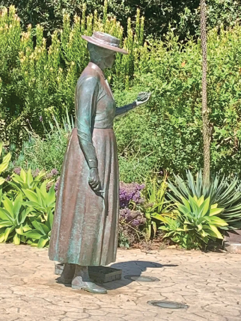 Kate O. Sessions, shaper of San Diego’s green legacy – Master Gardener ...